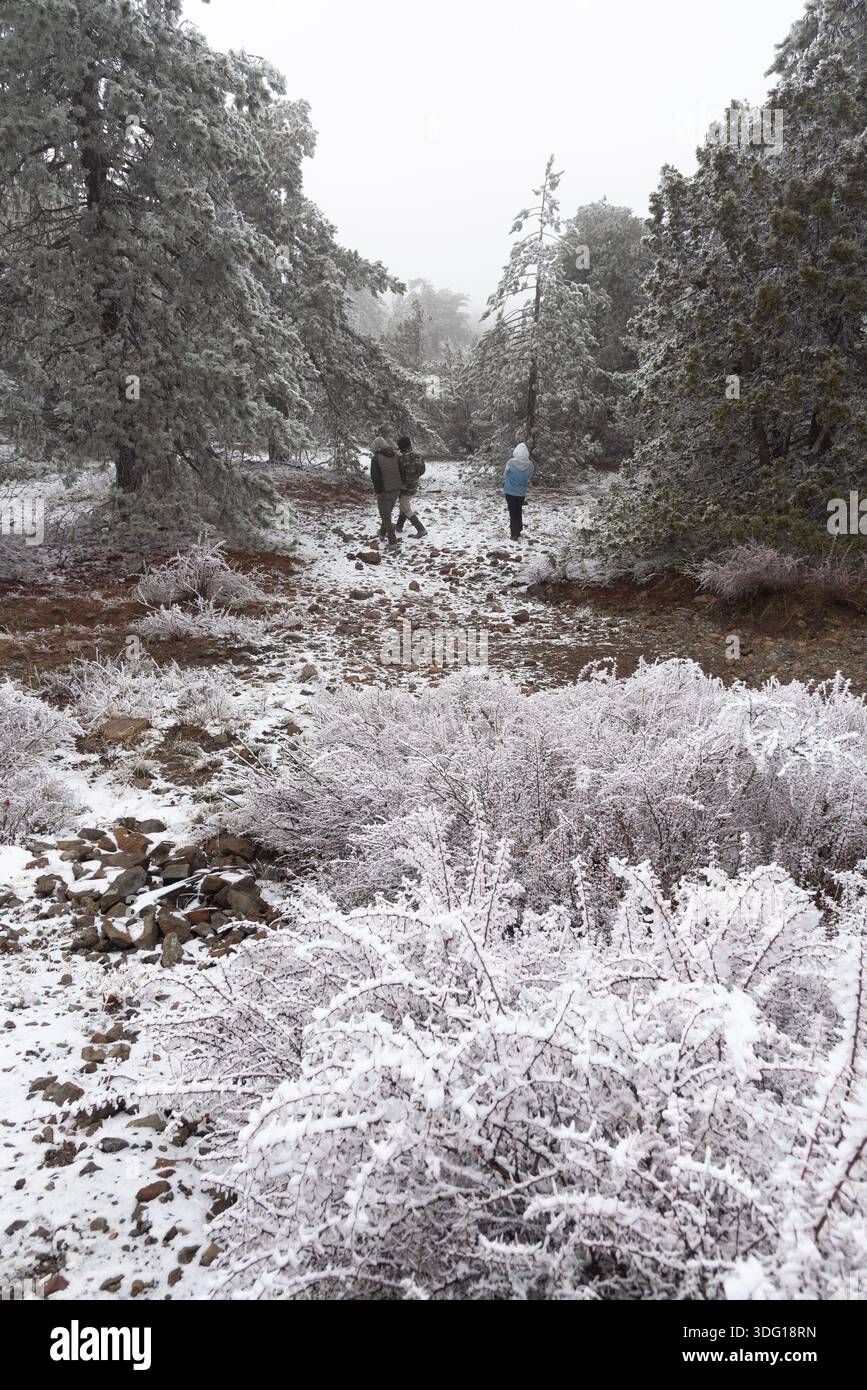 Frosty hiking trail hi-res stock photography and images - Alamy