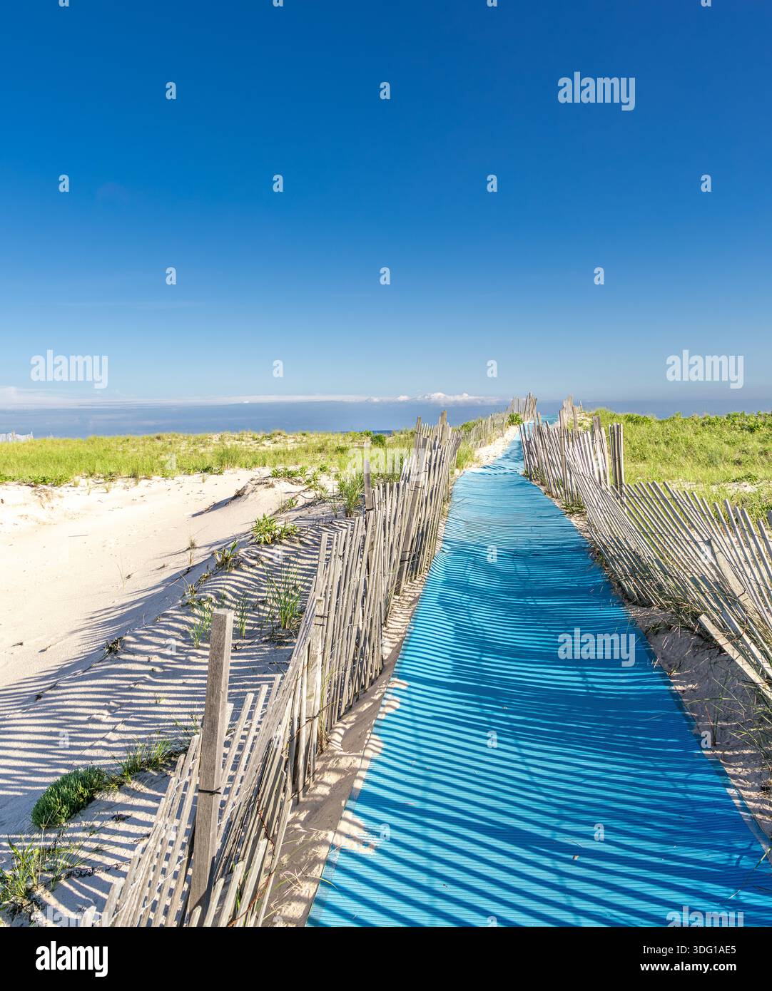 a long blue pathway with a blue path mat leading to a hampton bays ...