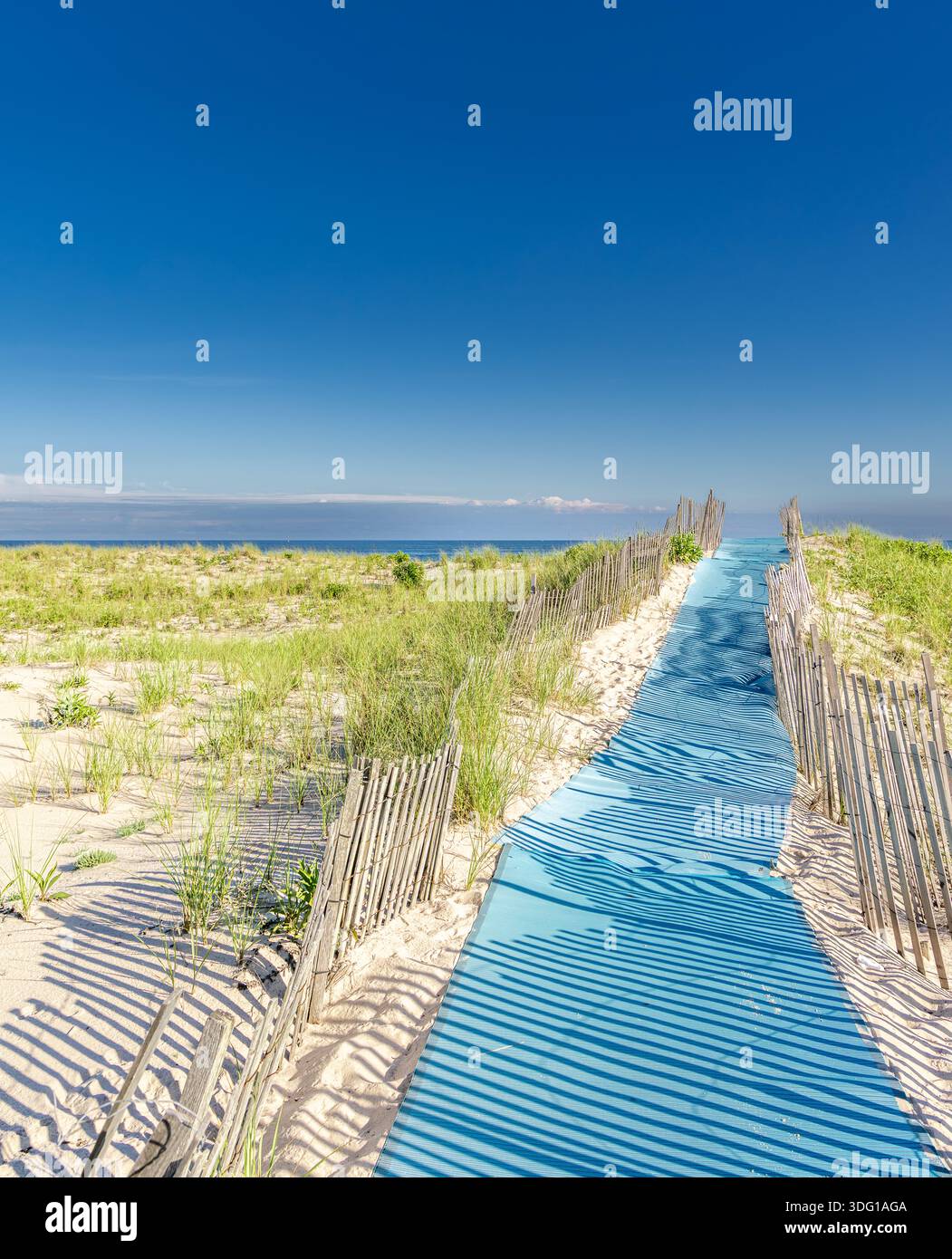 a long blue pathway with a blue path mat leading to a hampton bays ...