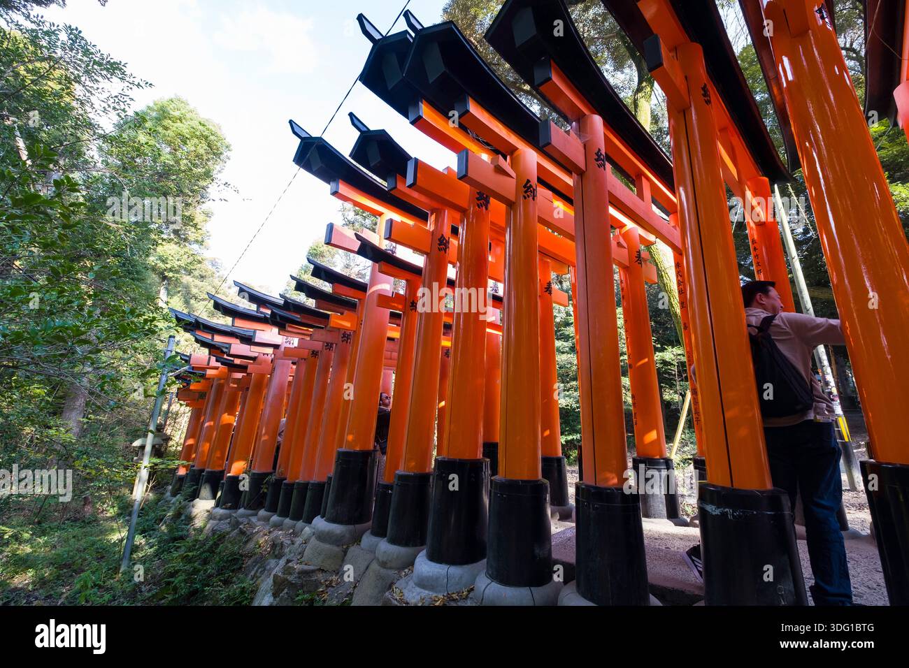 Fushimi Inari Shrine in Kyoto, Japan, is renowned for its thousands of ...