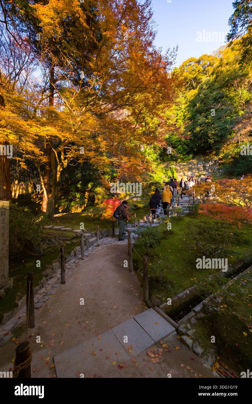 Philosophers path proximity hi-res stock photography and images - Alamy