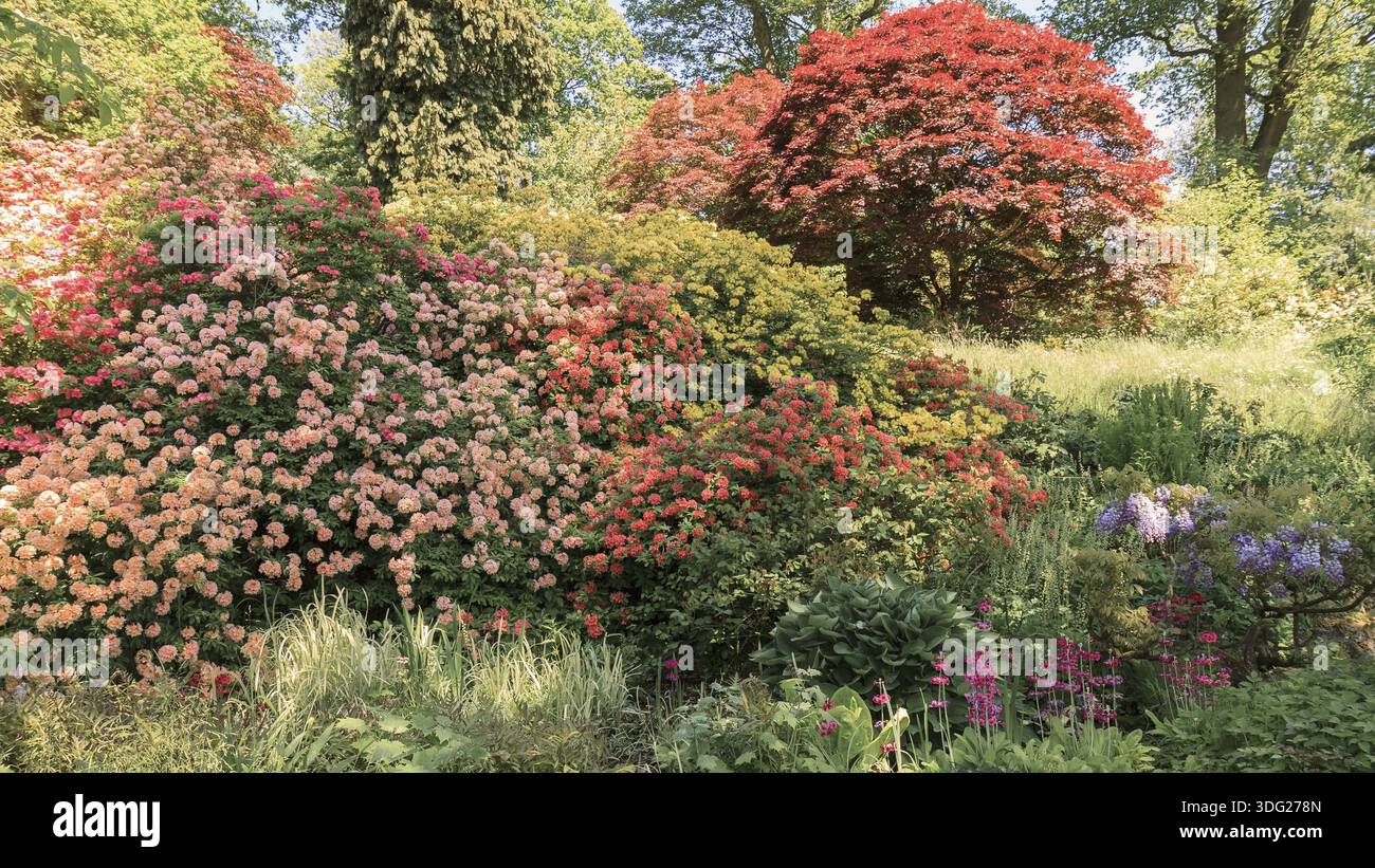 Spring family history hi-res stock photography and images - Alamy