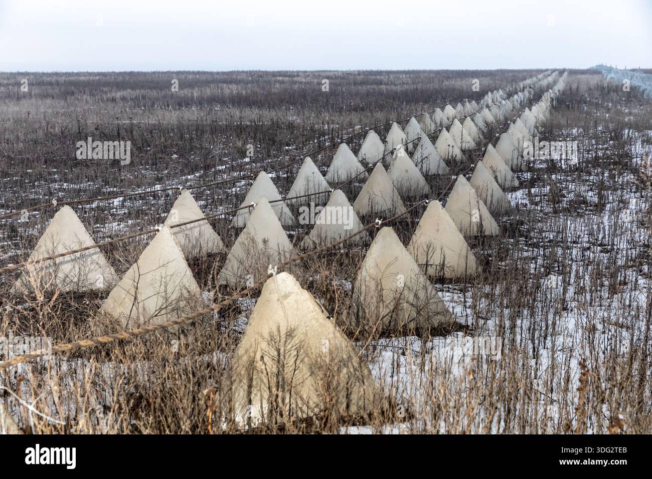 Rows of concrete anti-tank pyramids known as dragon's teeth are seen ...