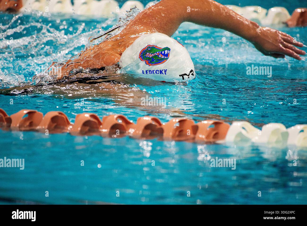 January 14, 2026: Katie Ledecky competing in the WomenÕs 1500 LC Meter ...