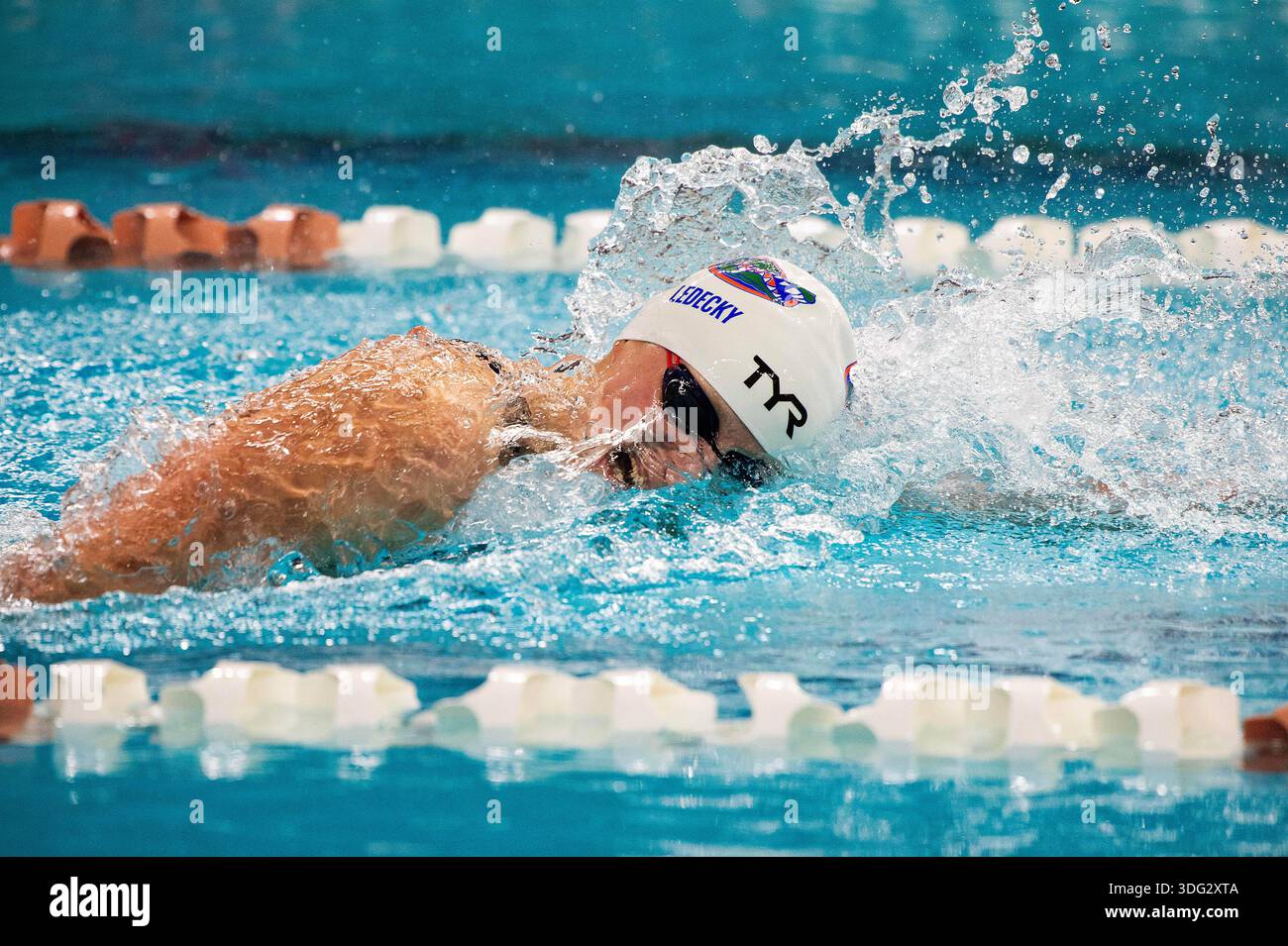 January 14, 2026: Katie Ledecky competing in the WomenÕs 1500 LC Meter ...