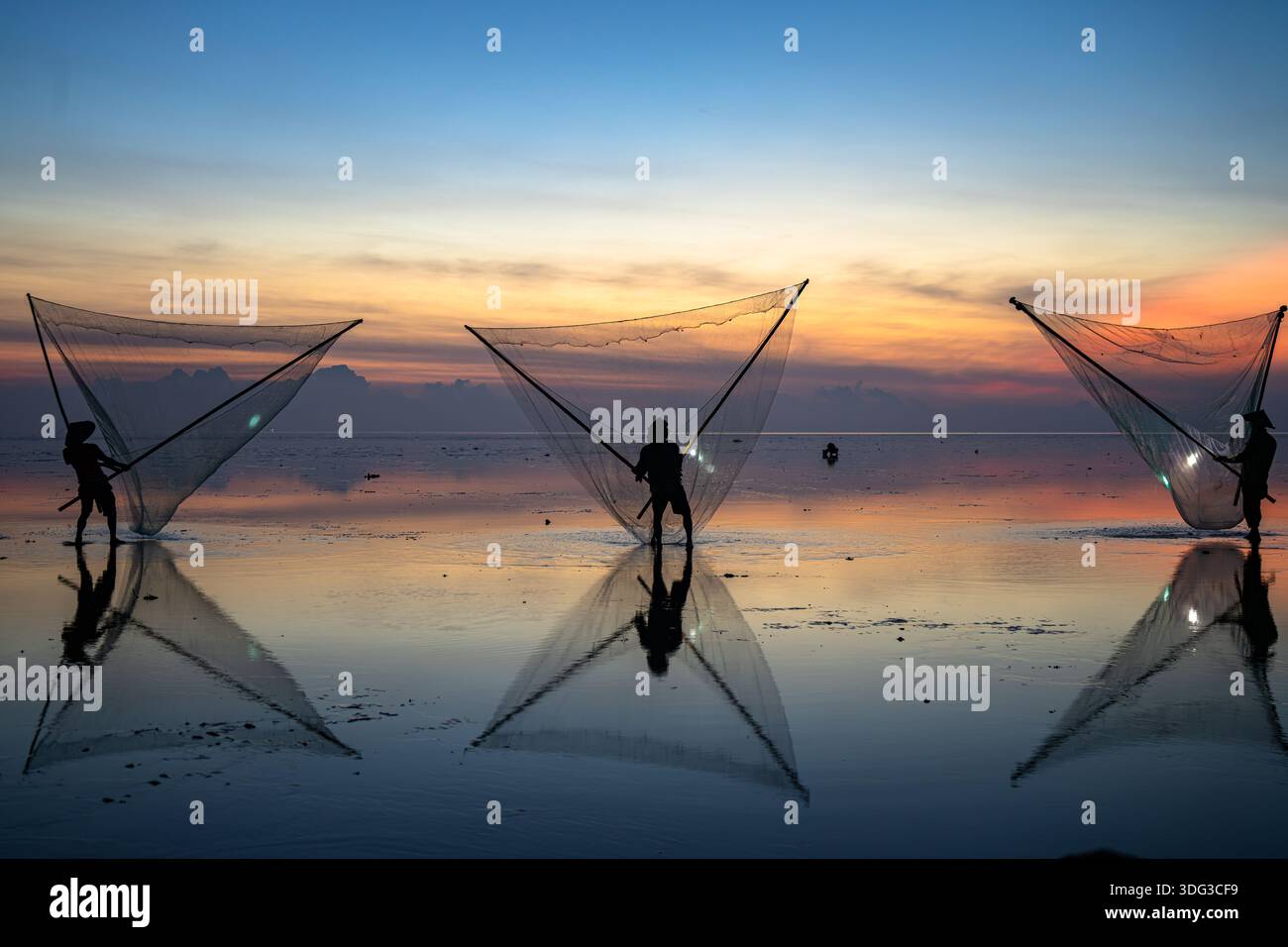 Fishermen at Quang Lang beach, Thai Binh, casting nets at sunrise. A ...
