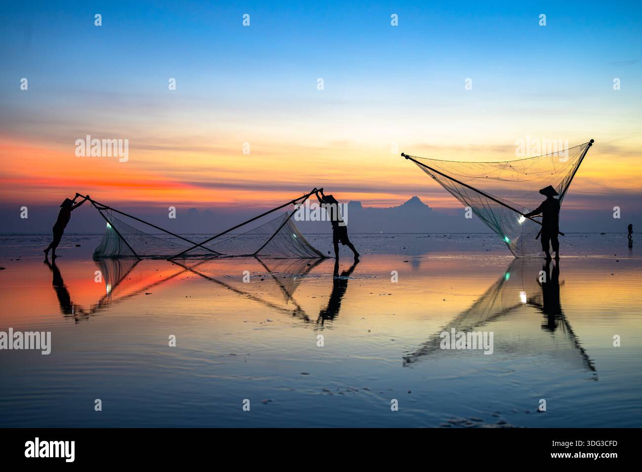 Fishermen at Quang Lang beach, Thai Binh, casting nets at sunrise. A ...