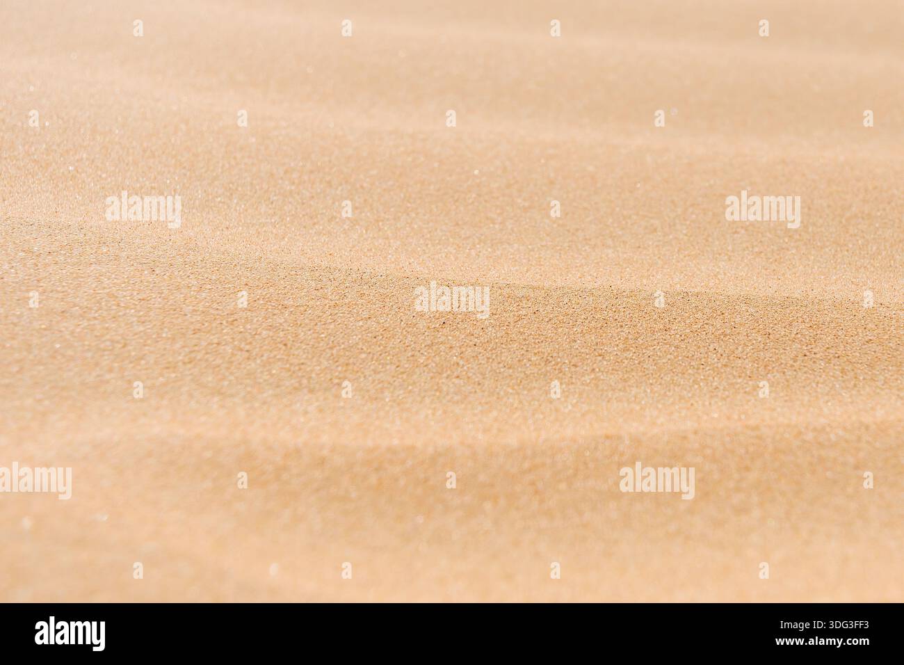 Warm golden sand texture with subtle ripples and soft bokeh detail ...