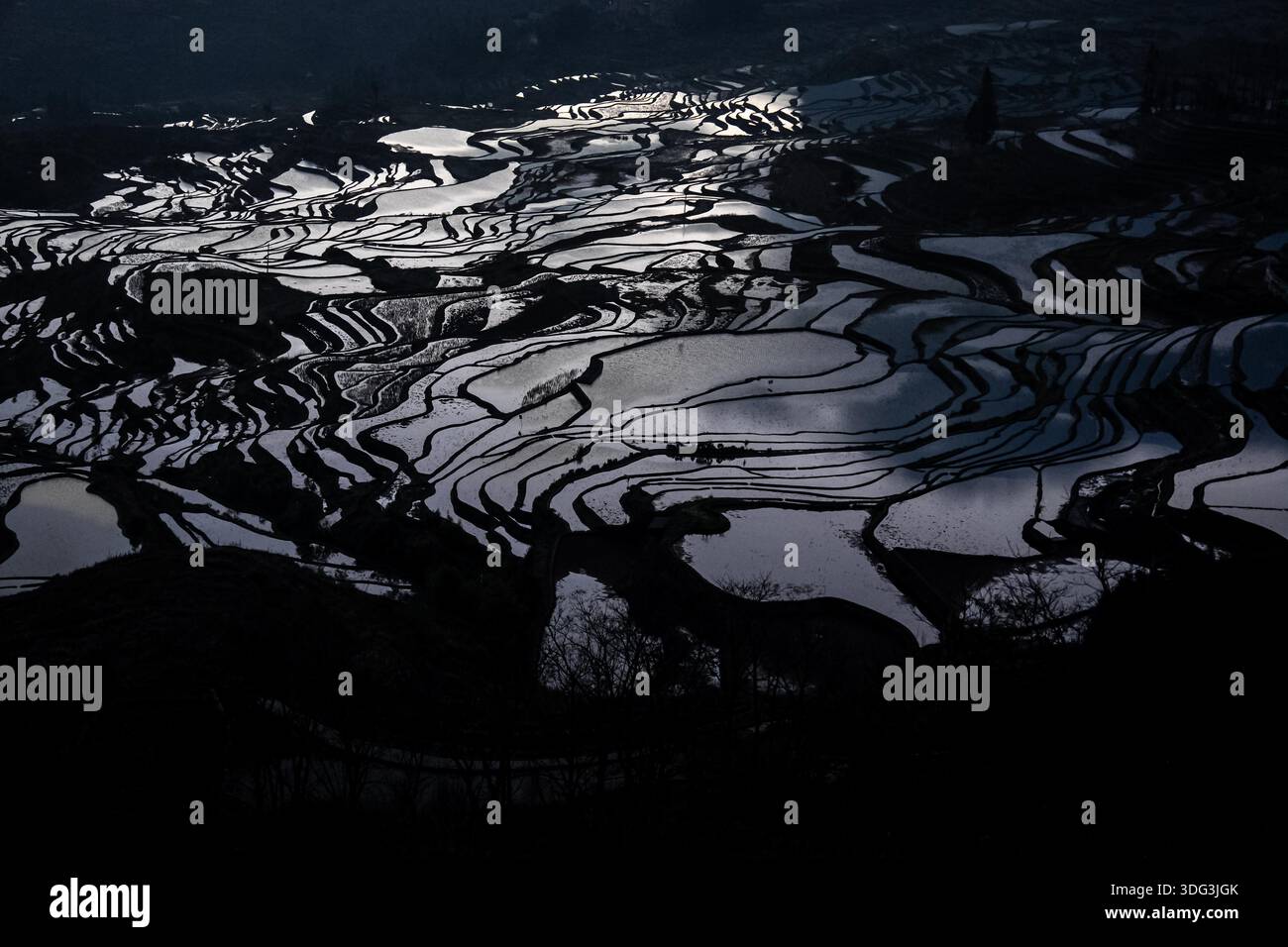 Aerial photo shows the Yuanyang terraced fields in Honghe Hani and Yi ...