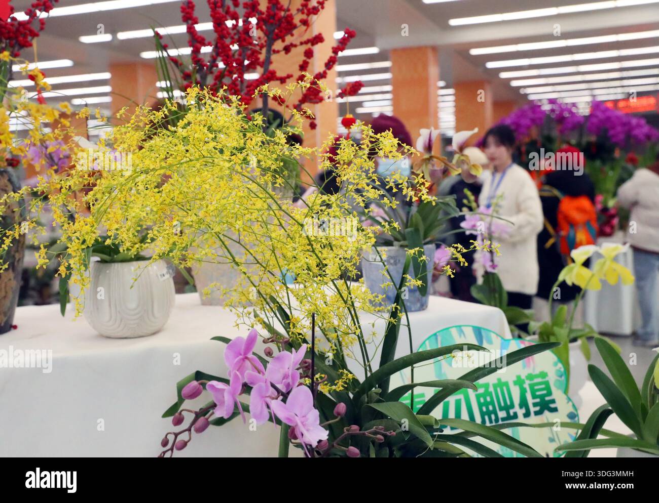 Citizens visit a flower exhibition at Beijing Municipal Service Center ...