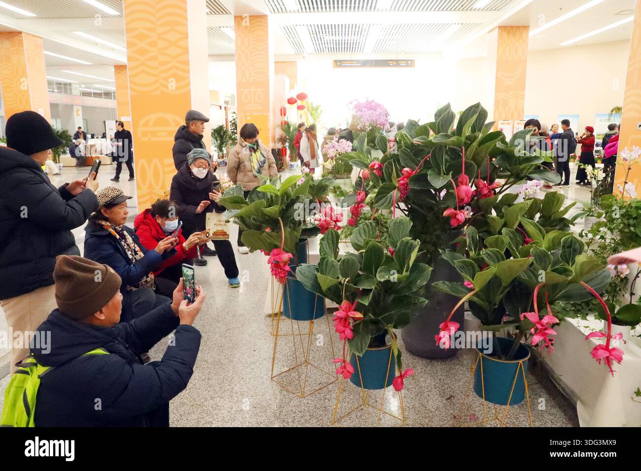 Citizens visit a flower exhibition at Beijing Municipal Service Center ...