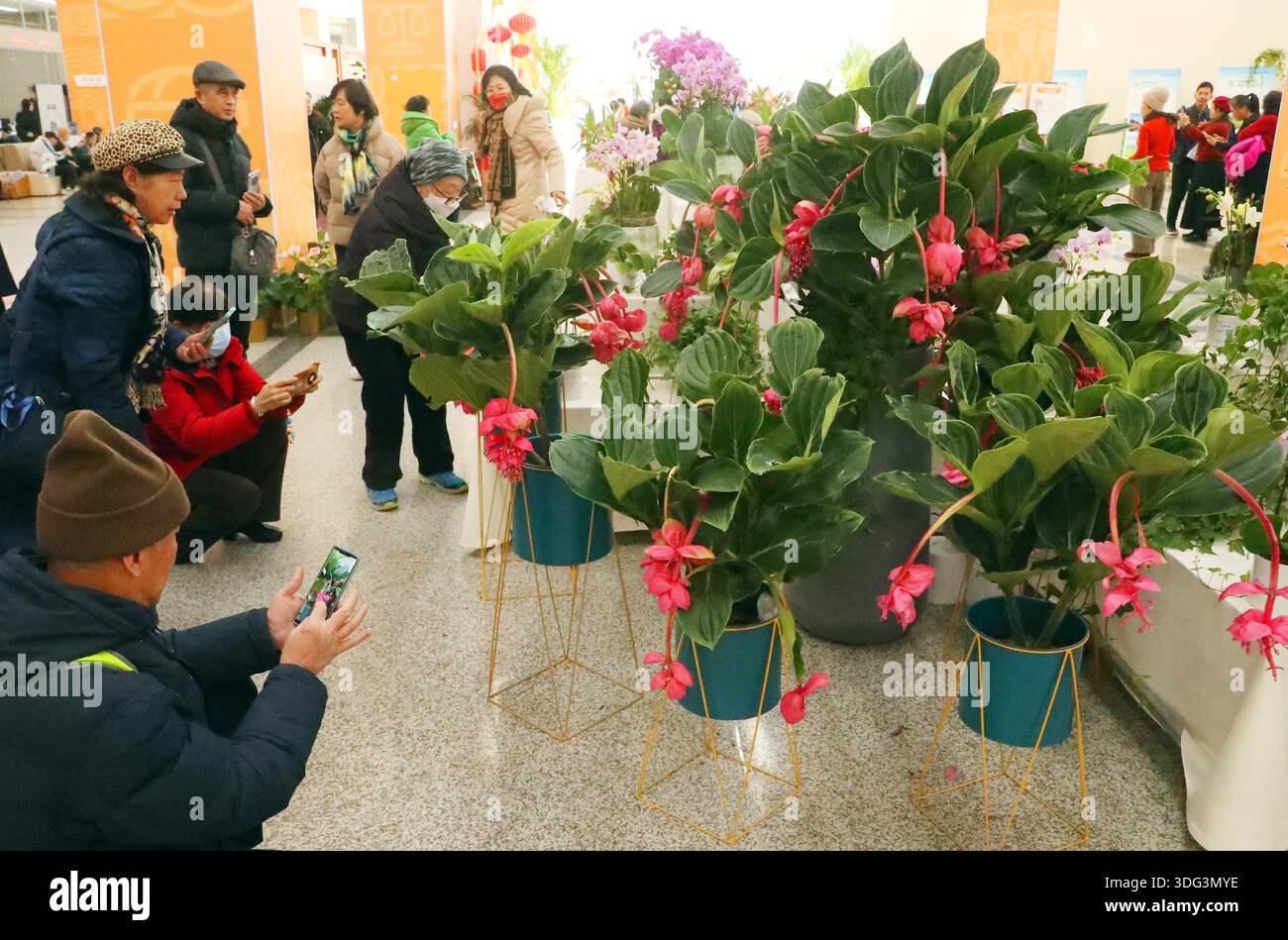 Citizens visit a flower exhibition at Beijing Municipal Service Center ...