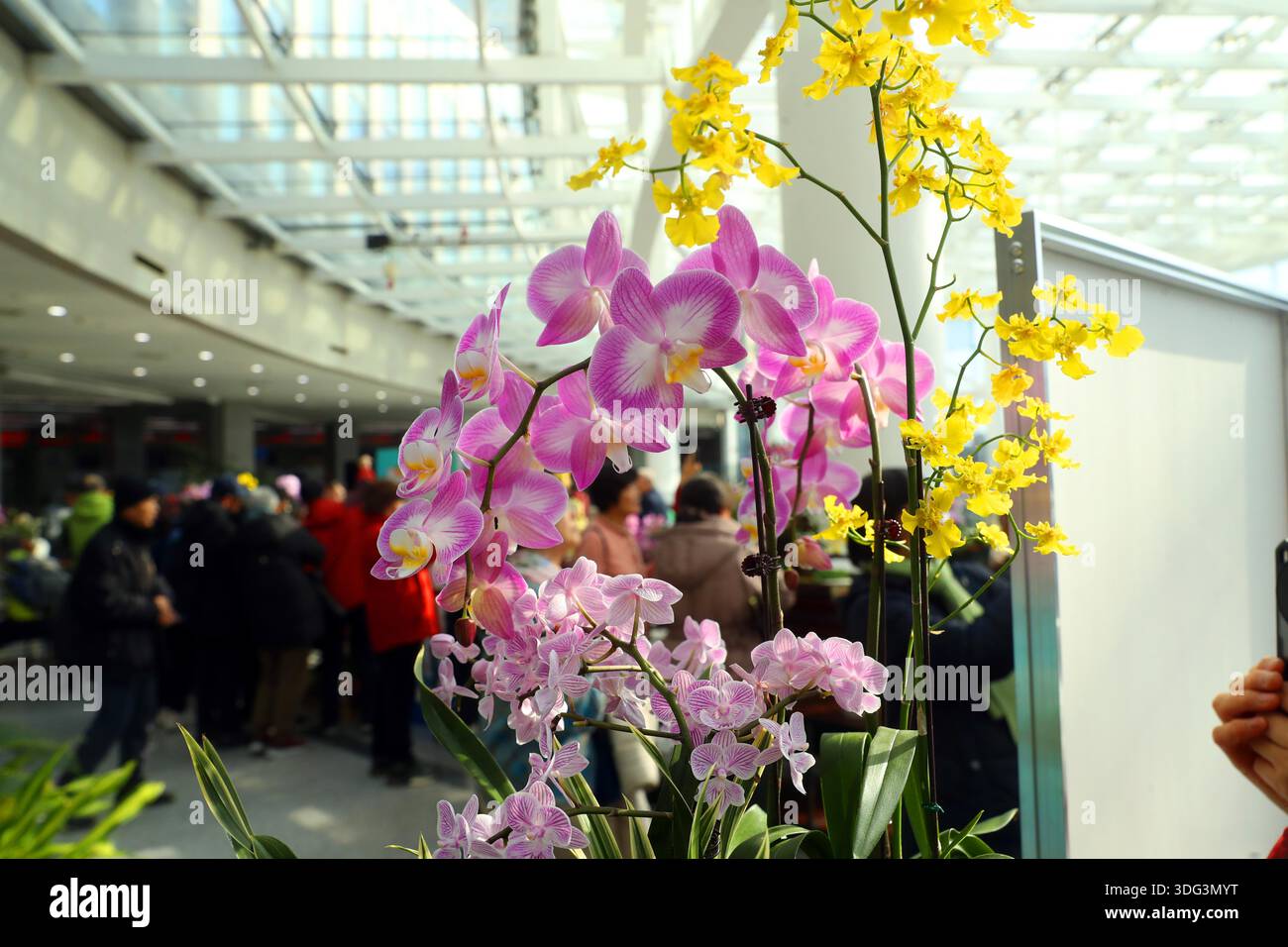 Citizens visit a flower exhibition at Beijing Municipal Service Center ...