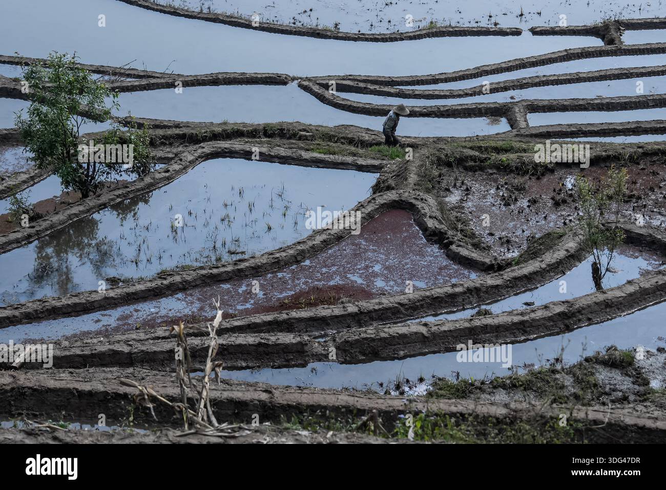 Aerial photo shows the terraces fields in Honghe County, Honghe Hani ...