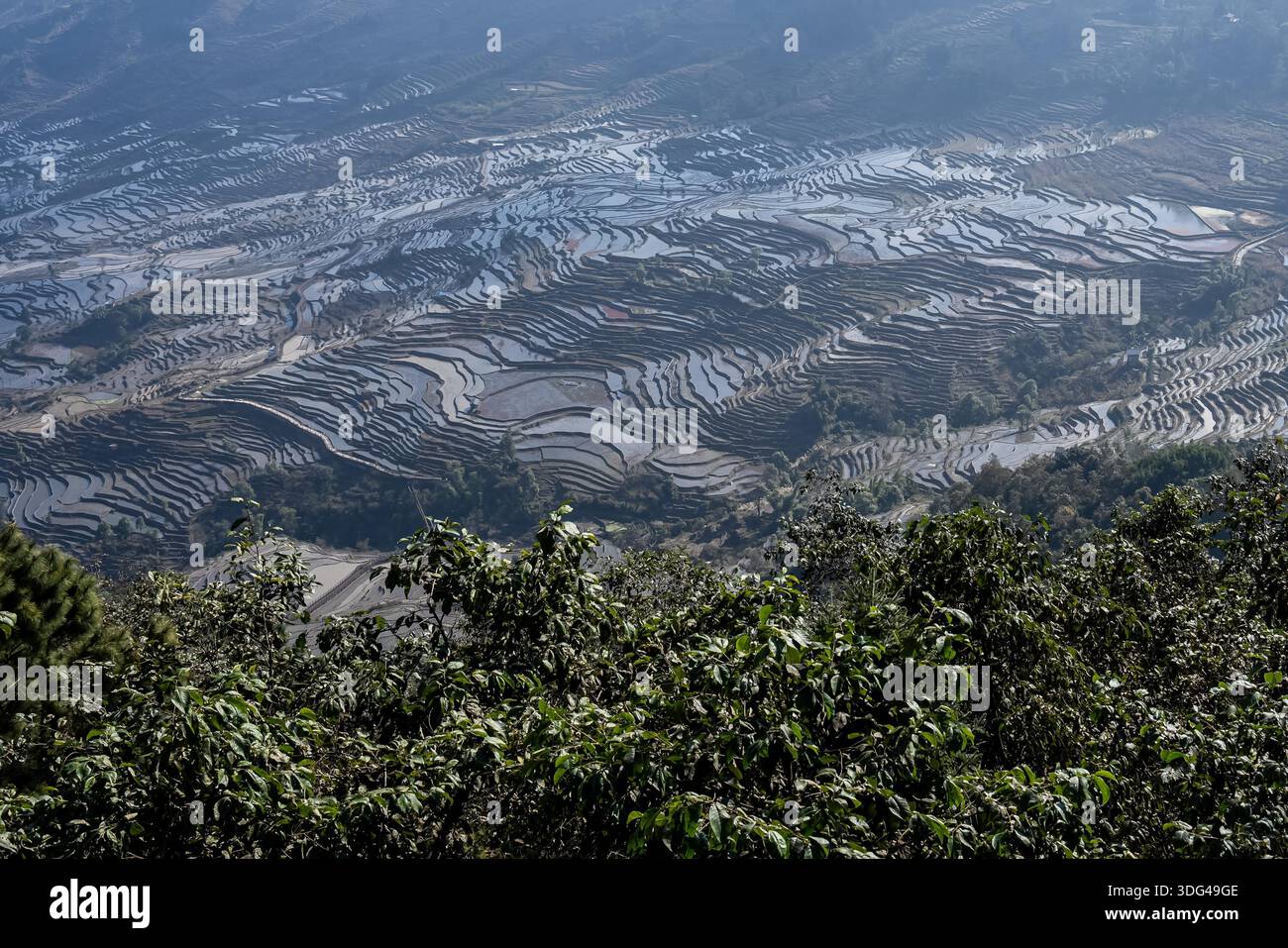 Aerial photo shows the terraces fields in Honghe County, Honghe Hani ...