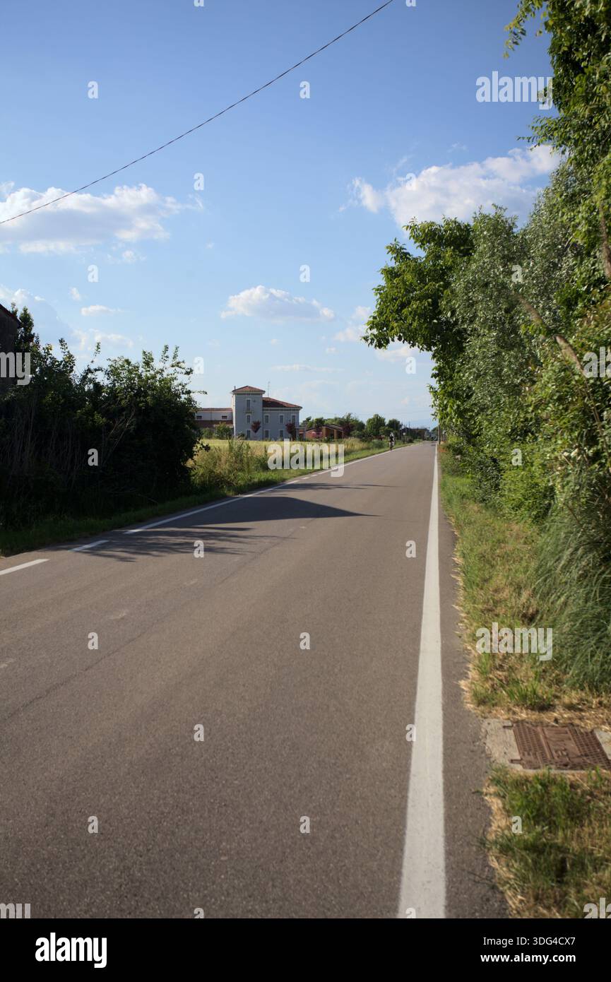 Road bordered by fields and plants in the italian countryside at sunset ...