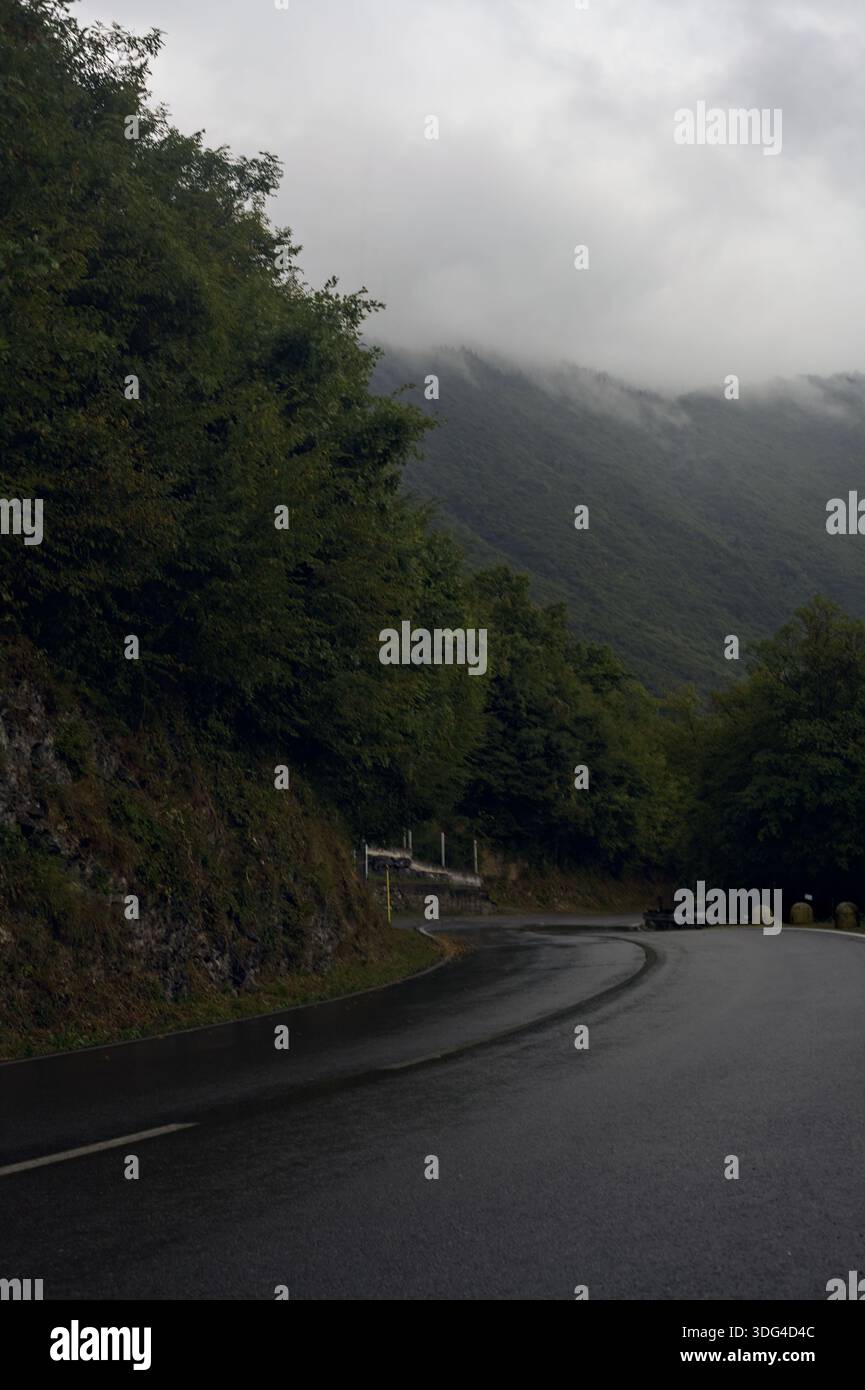 Mountain road bordered by a forest in the rain Stock Photo - Alamy