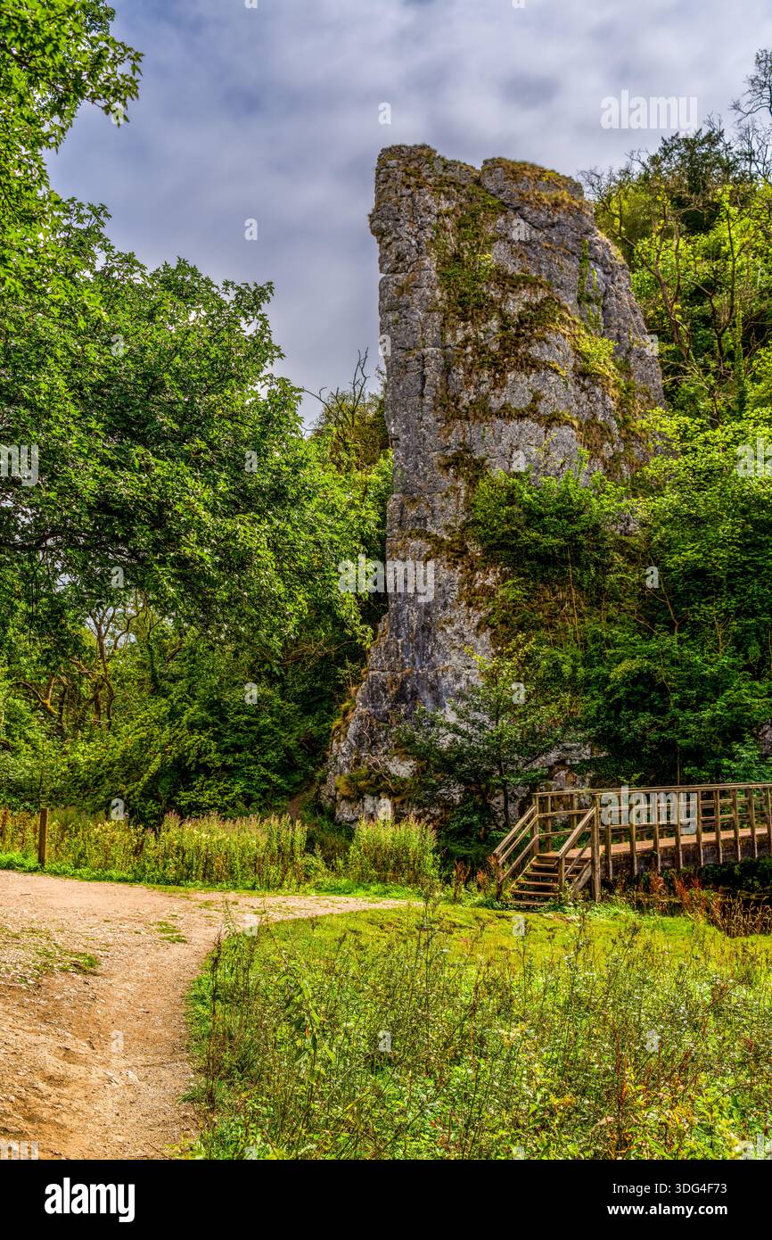 Limestone Rock Pinnacle and Woodland Path in Dovedale, Peak District ...