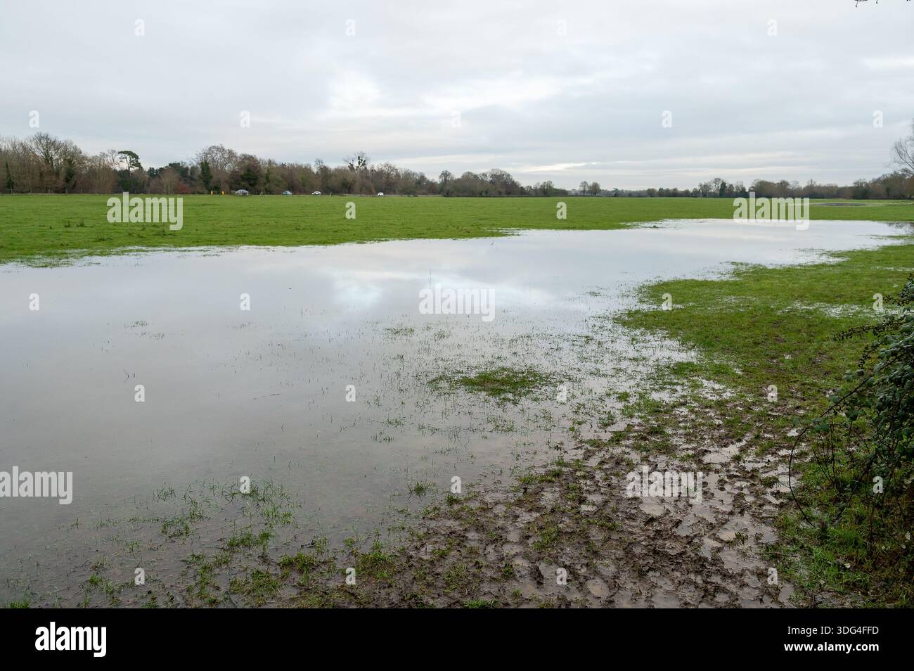 Runnymede, Surrey, UK. 14th January, 2026. Flooding at the National ...
