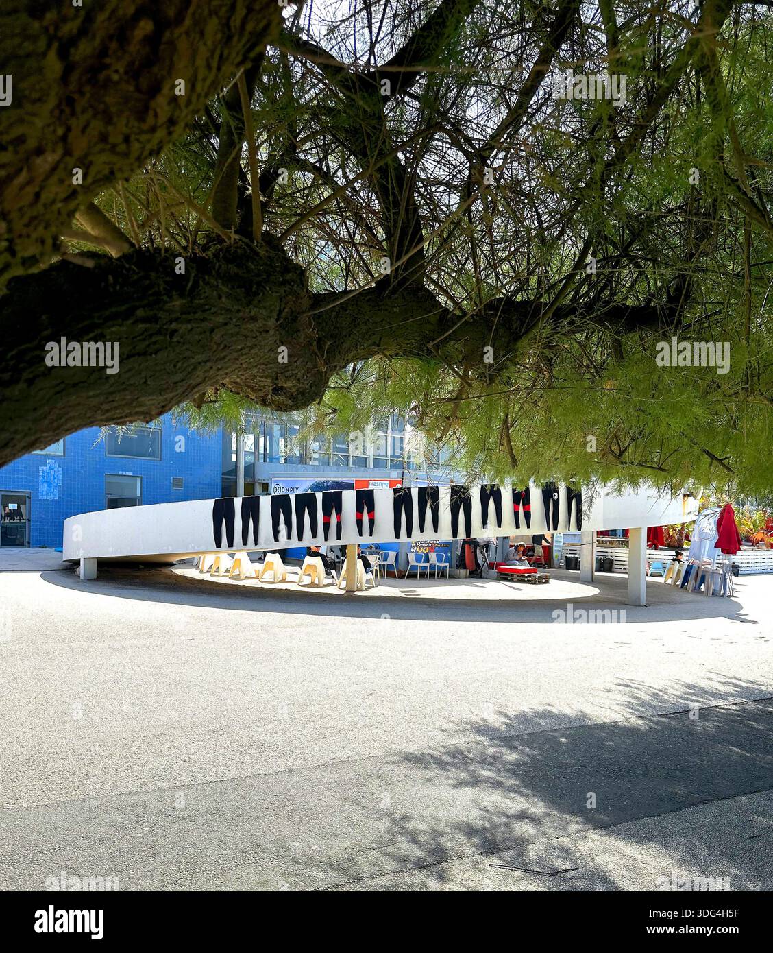 Wetsuits hanging to dry at a surf base, arranged in a row on a white ...