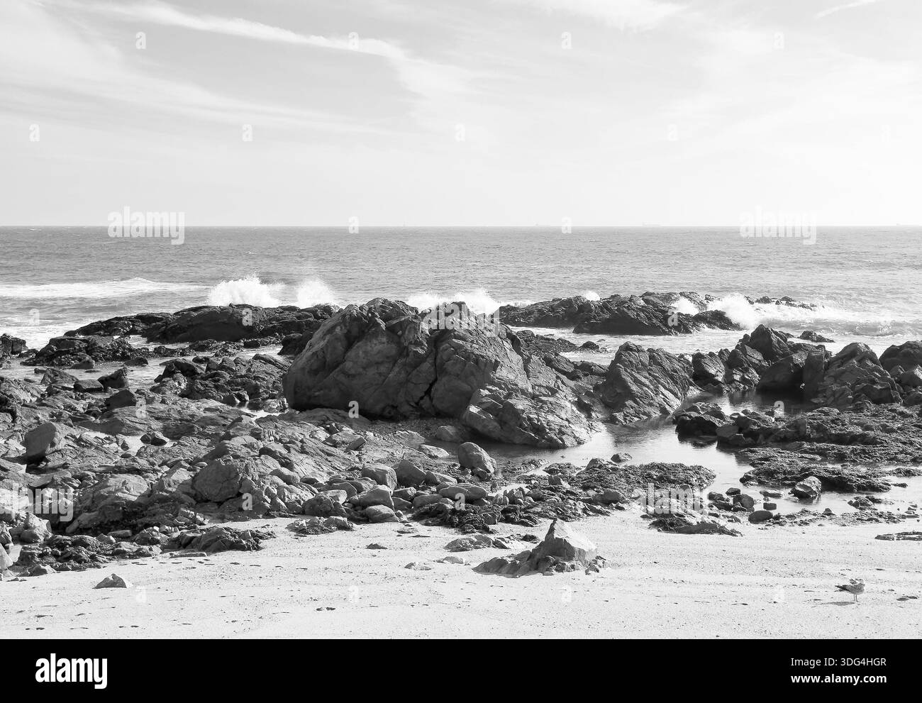 Black and white coastal scene with rocky shoreline, waves breaking in ...
