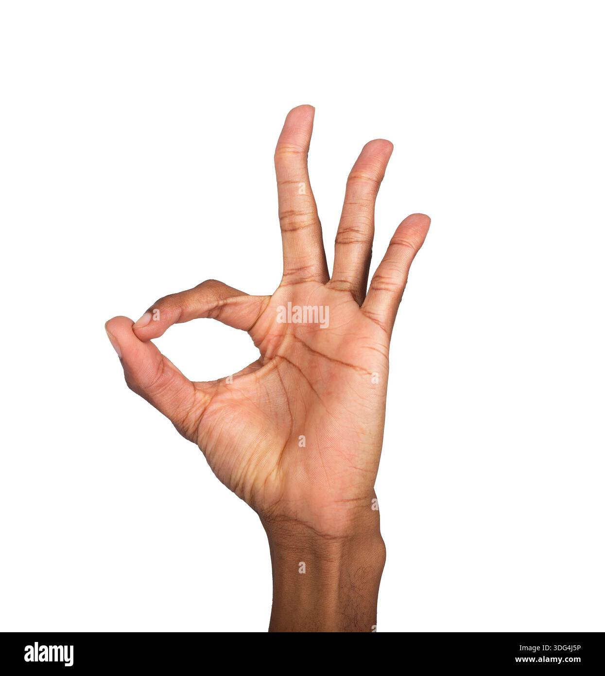 Ok hand gesture, raised sign of correct communication and positive ...