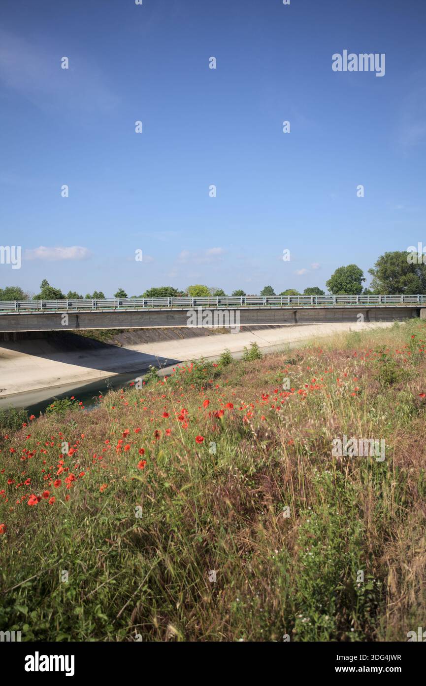 Dirt trail by the bank of a diversionary channel full of poppies ...
