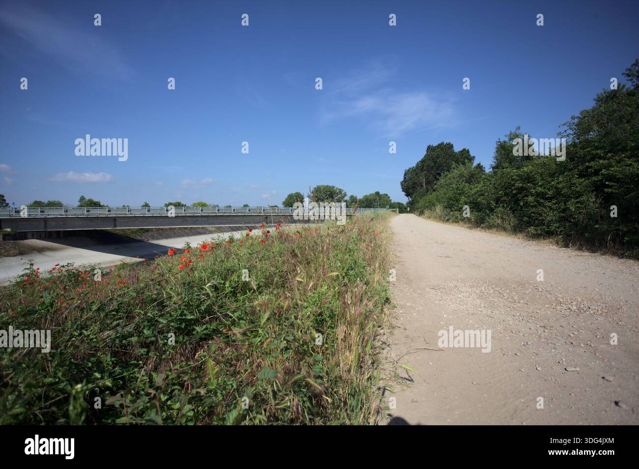 Dirt trail by the bank of a diversionary channel full of poppies ...