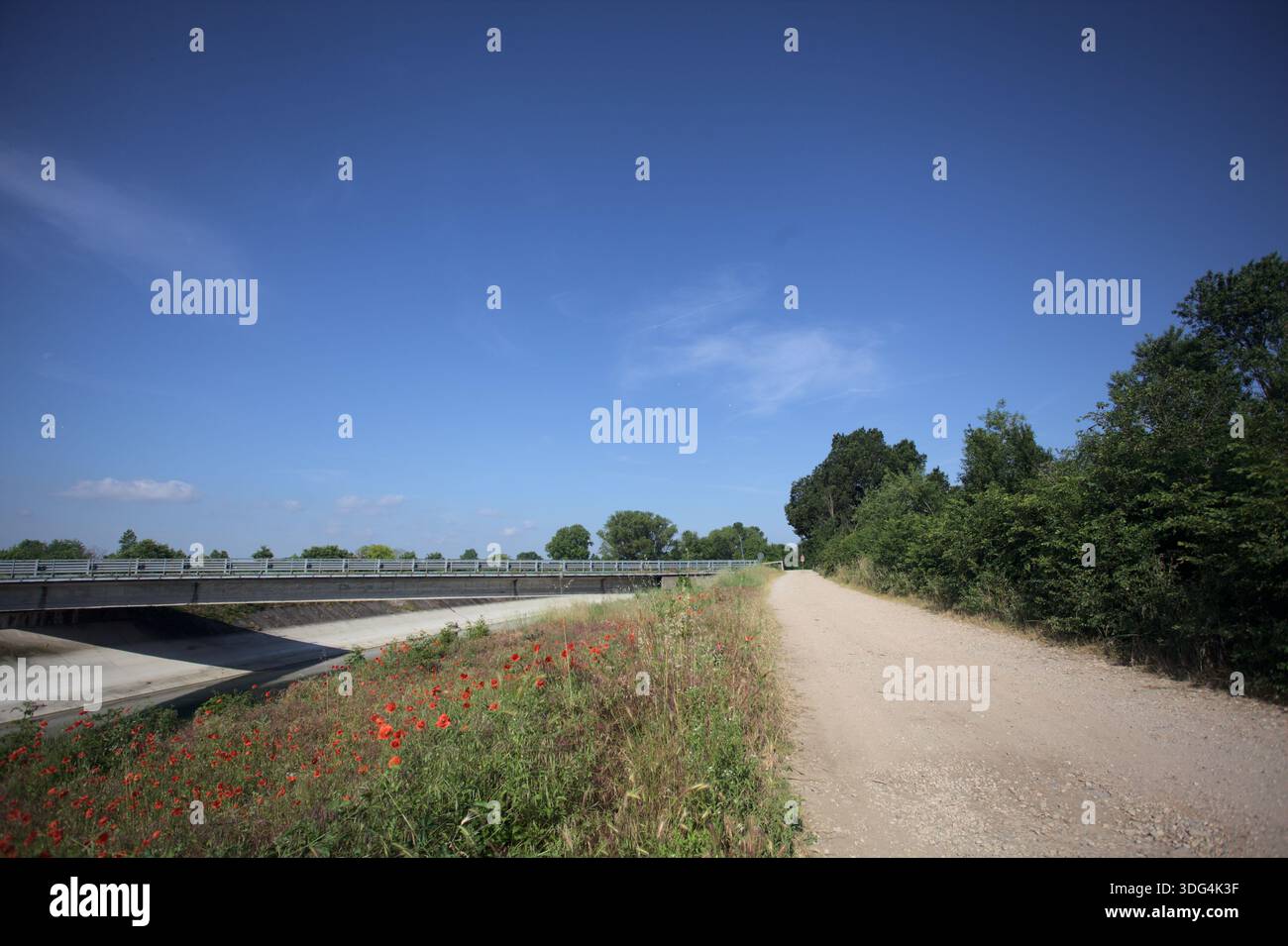 Dirt trail by the bank of a diversionary channel full of poppies ...