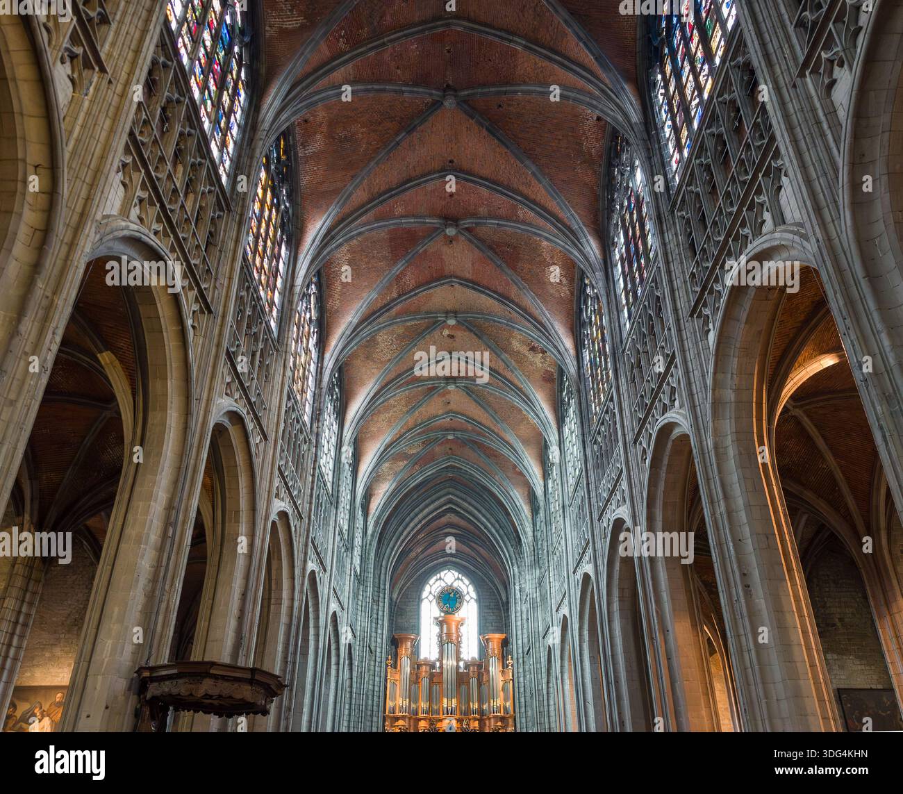 Elegant interior view of Mons Cathedral showcasing soaring arches ...