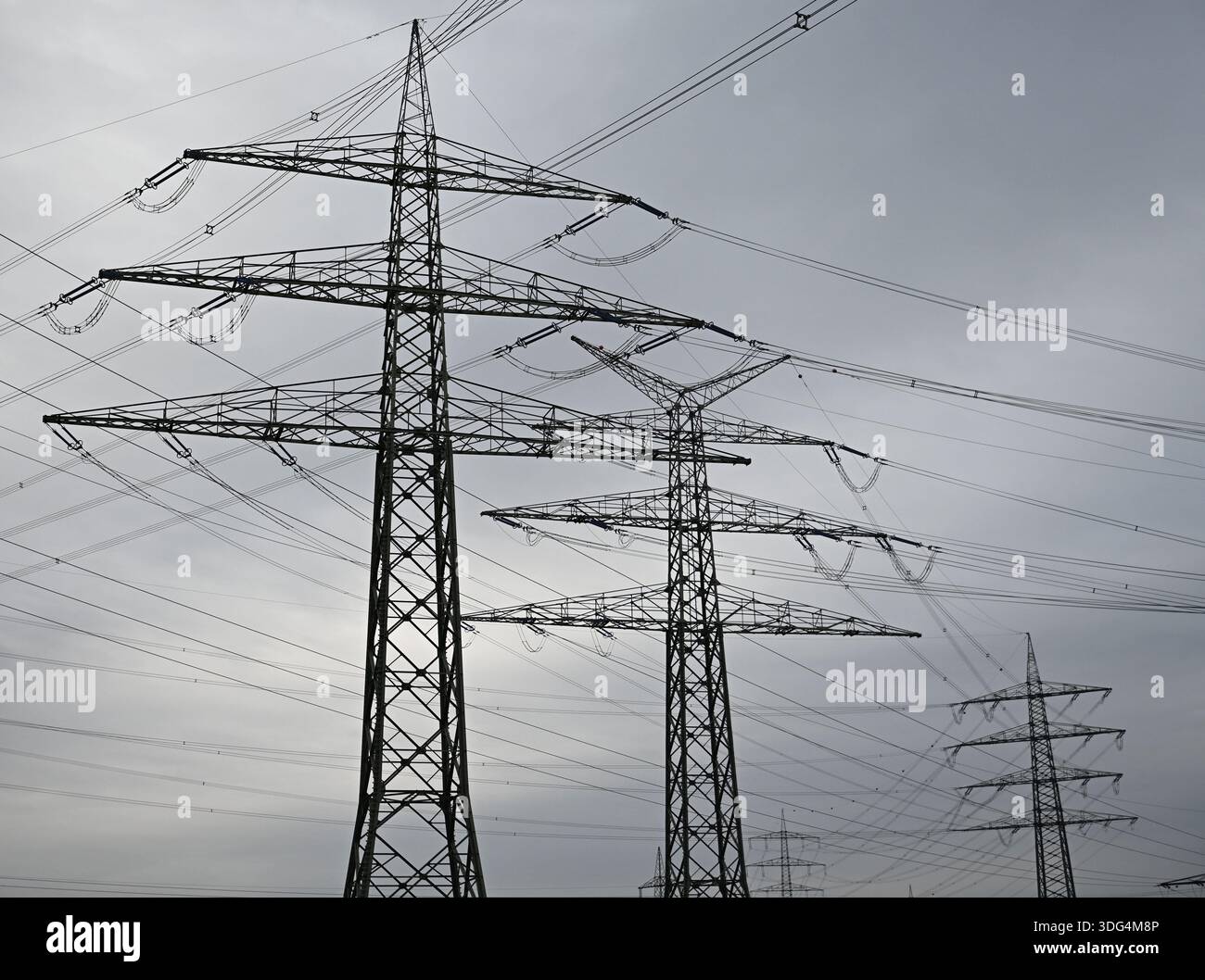 14 January 2026, Hesse, Pfungstadt: A high-voltage power line stands in ...