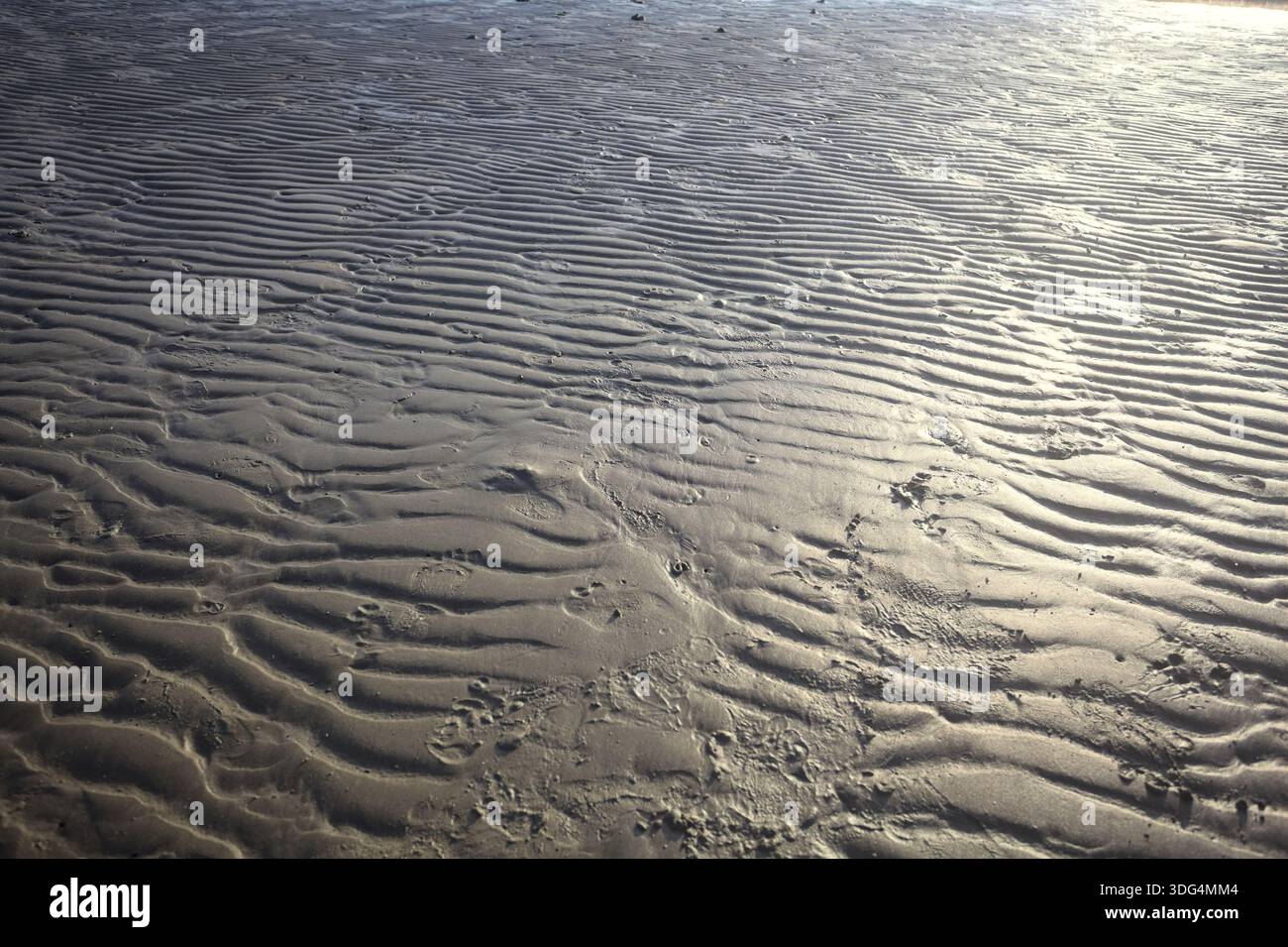 Wave marks on the sand and the sunlight reflected on it Stock Photo - Alamy