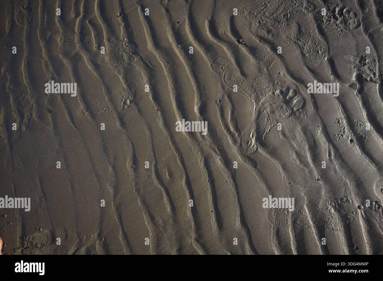 Wave marks on the sand and the sunlight reflected on it Stock Photo - Alamy