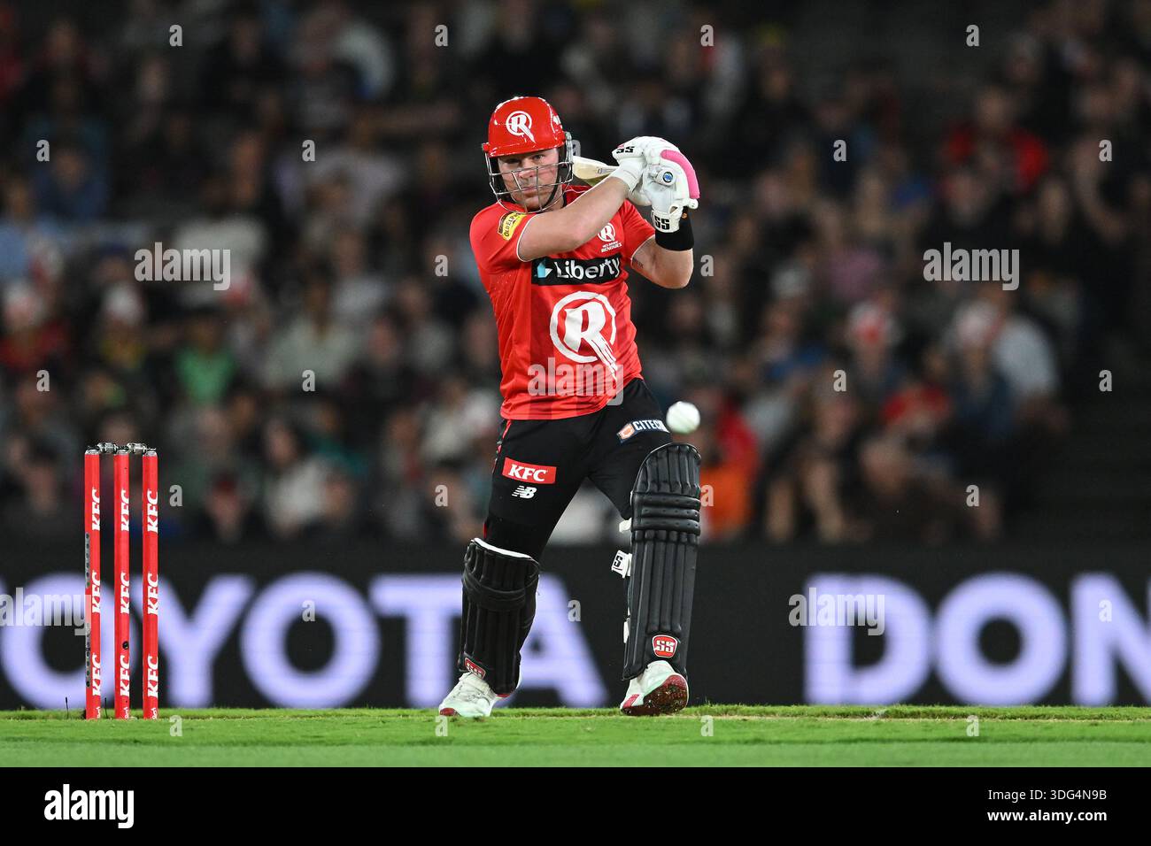 Tim Seifert of the Renegades plays a shot during the BBL match between ...