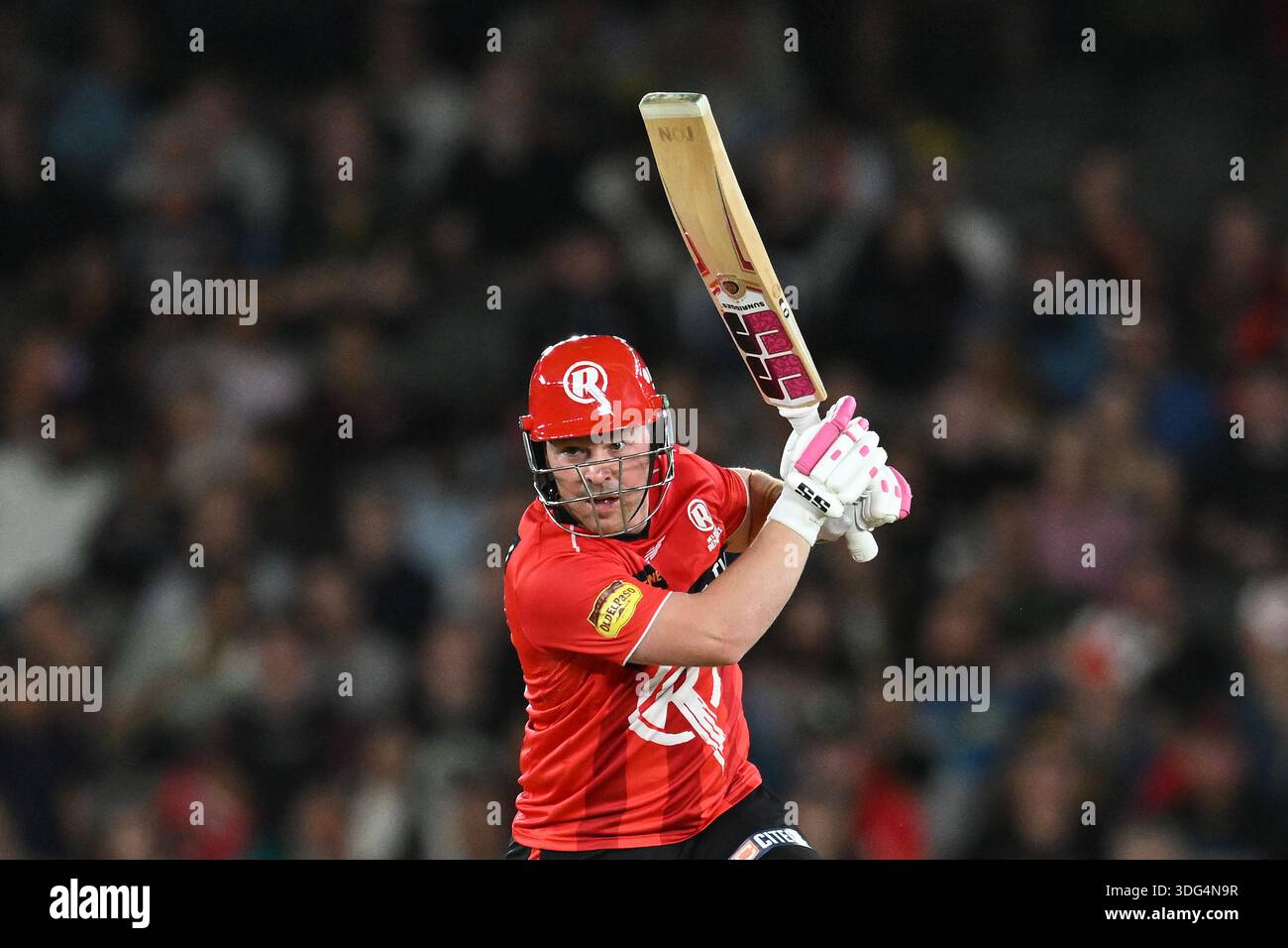 Tim Seifert of the Renegades plays a shot during the BBL match between ...