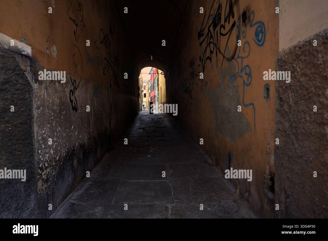 Covered narrow alley with graffiti on the walls and a pylon at the ...