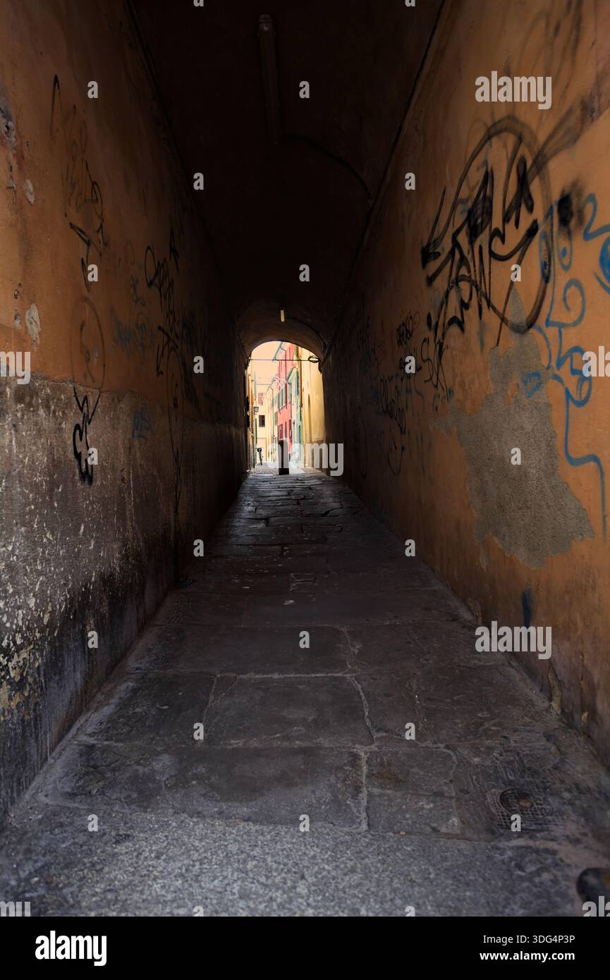 Covered narrow alley with graffiti on the walls and a pylon at the ...