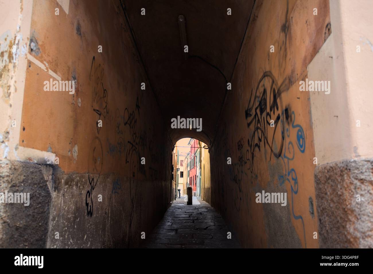 Covered narrow alley with graffiti on the walls and a pylon at the ...