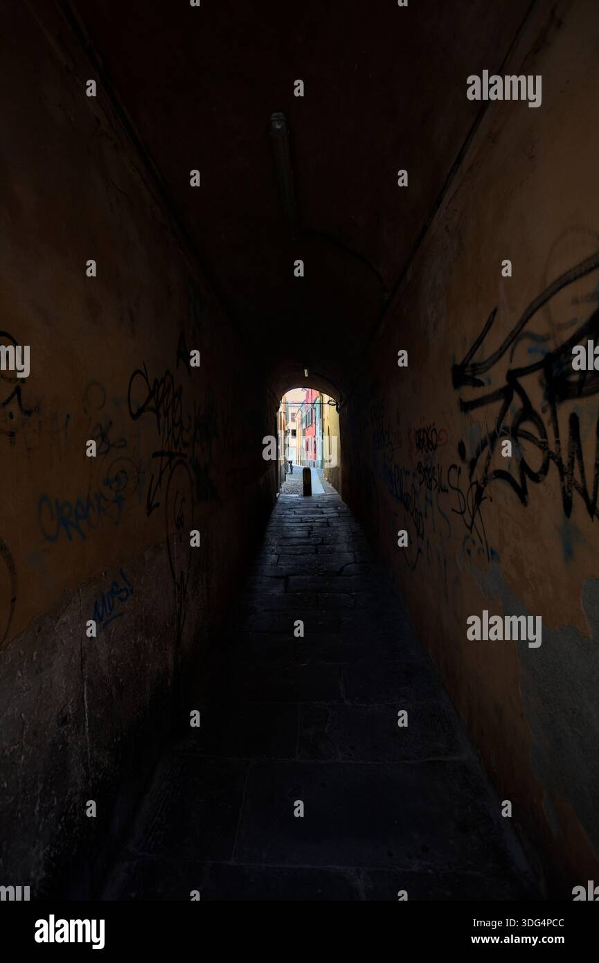 Covered narrow alley with graffiti on the walls and a pylon at the ...