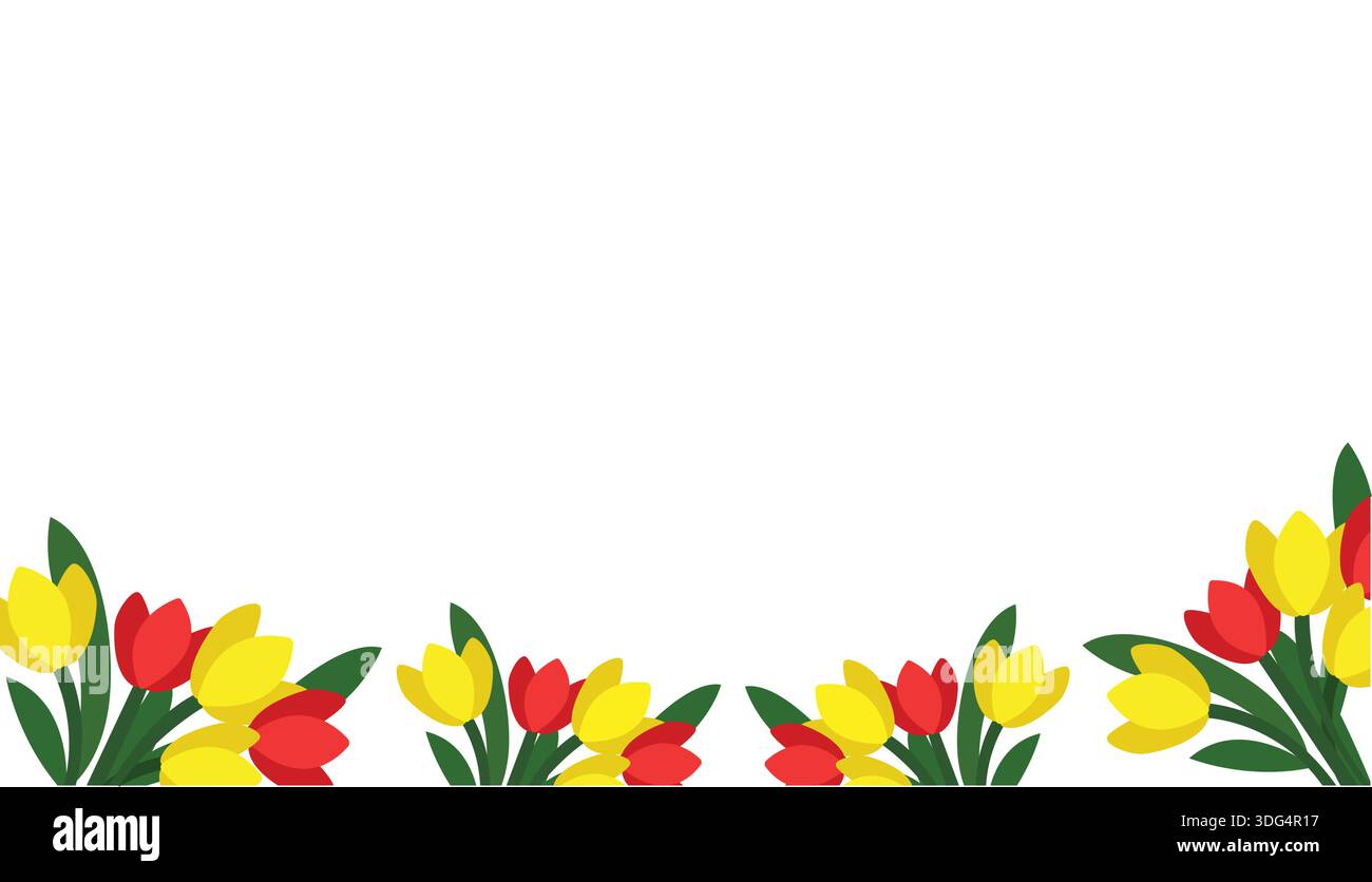 Colorful Tulip Border on White Background Stock Vector Image & Art - Alamy