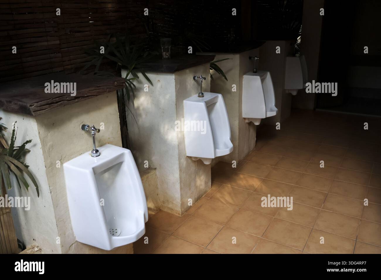 Modern clean white ceramic urinal row in public restroom with calm and ...