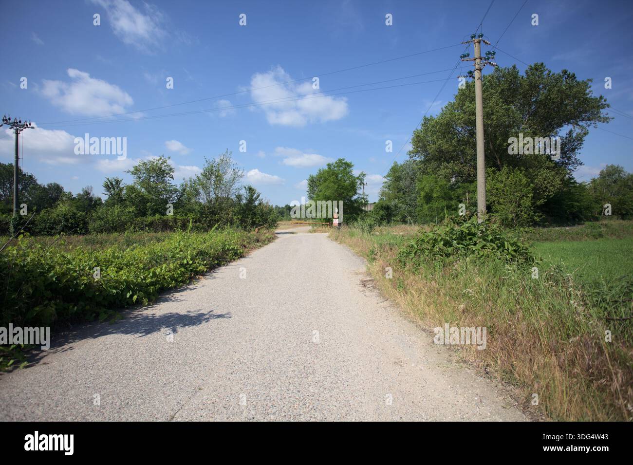 Dirt road between fields with an overhead power line by its edge ...
