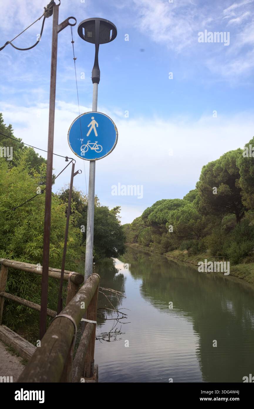 Brook bordered by trees of a forest casted in the water on a sunny day ...