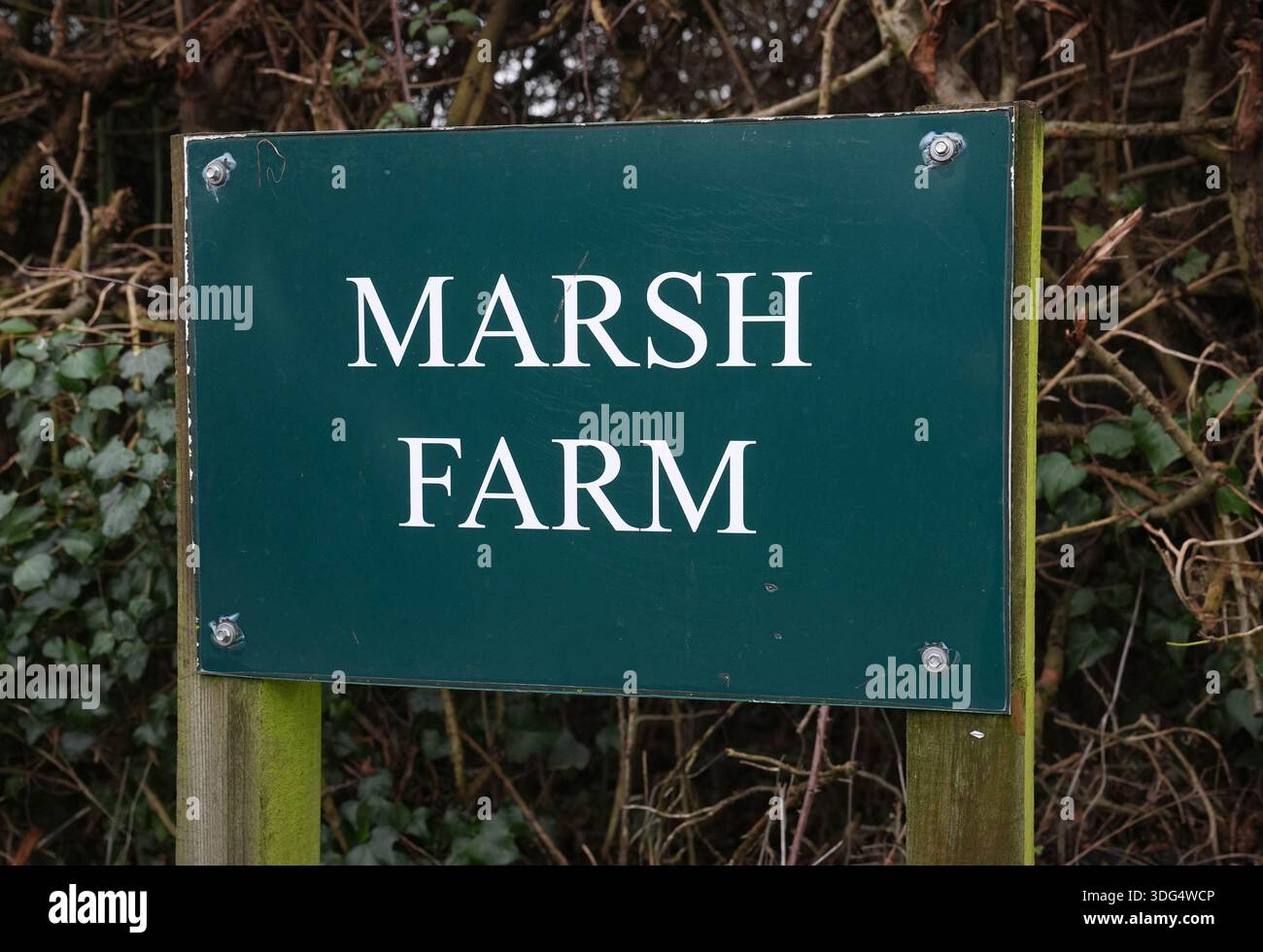 Marsh farm on sandringham hi-res stock photography and images - Alamy