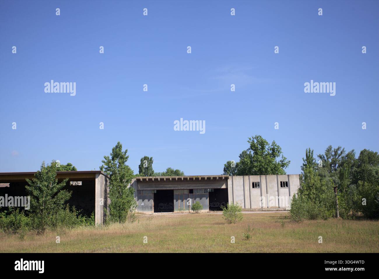 Warehouses of an abandoned compound surrounded by trees on a sunny day ...