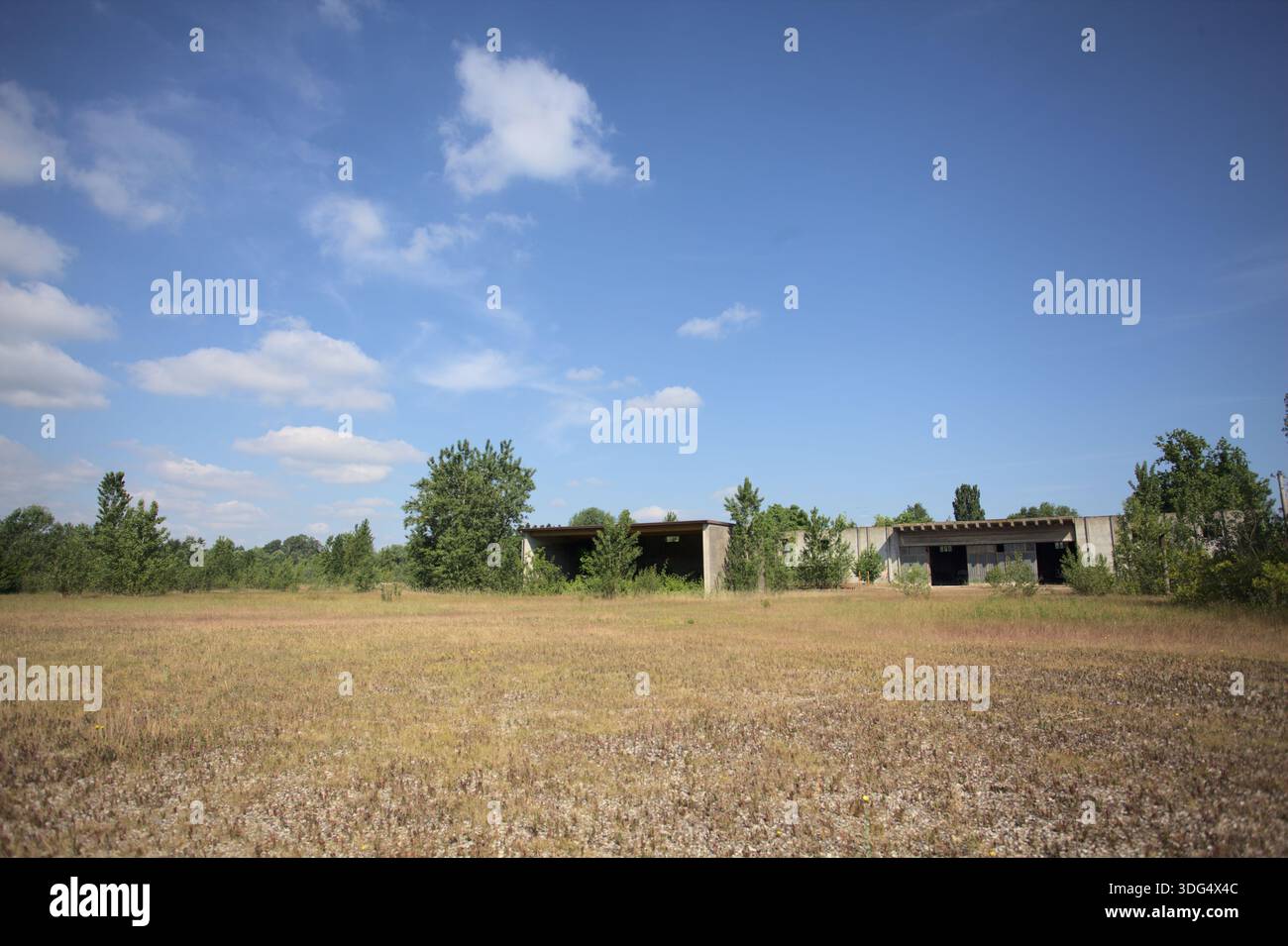 Warehouses of an abandoned compound surrounded by trees on a sunny day ...