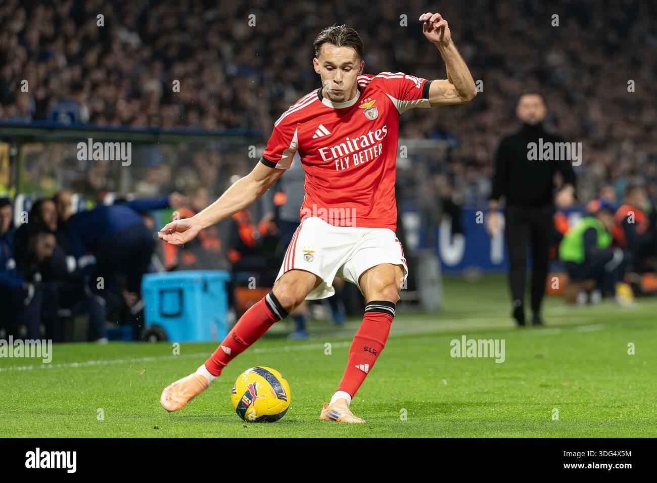 Amar Dedic of Benfica during the Portuguese Cup, Taca de Portugal ...