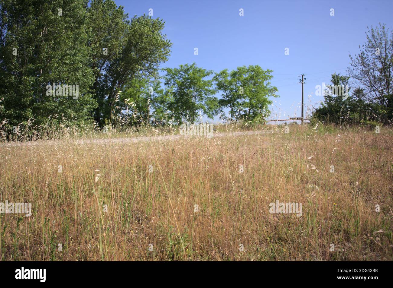 Dirt road blocked by a rusty bar next to a yard with dry grass and ...