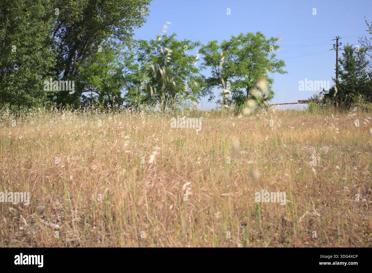Dirt road blocked by a rusty bar next to a yard with dry grass and ...
