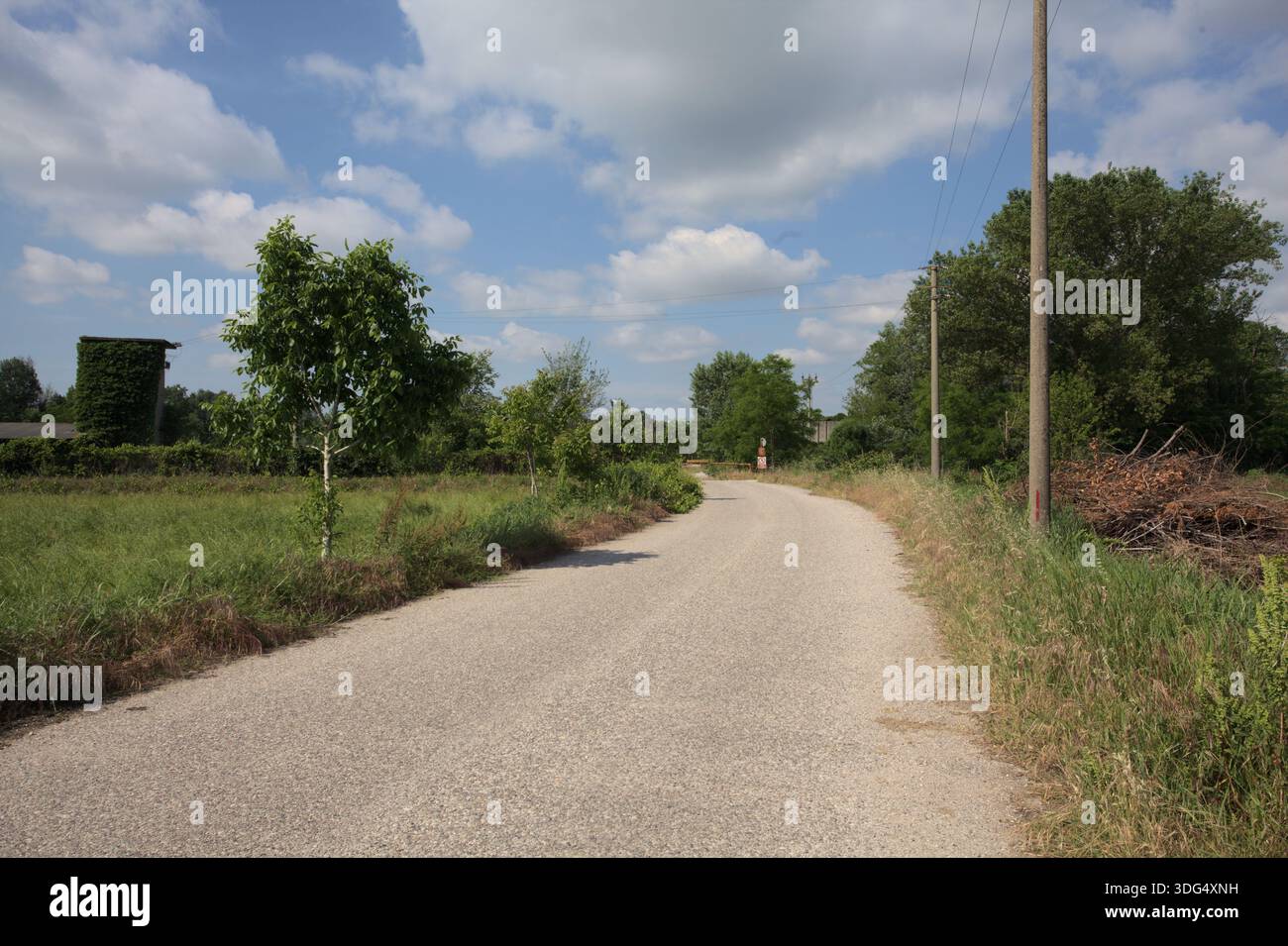 Dirt road between fields with an overhead power line by its edge ...